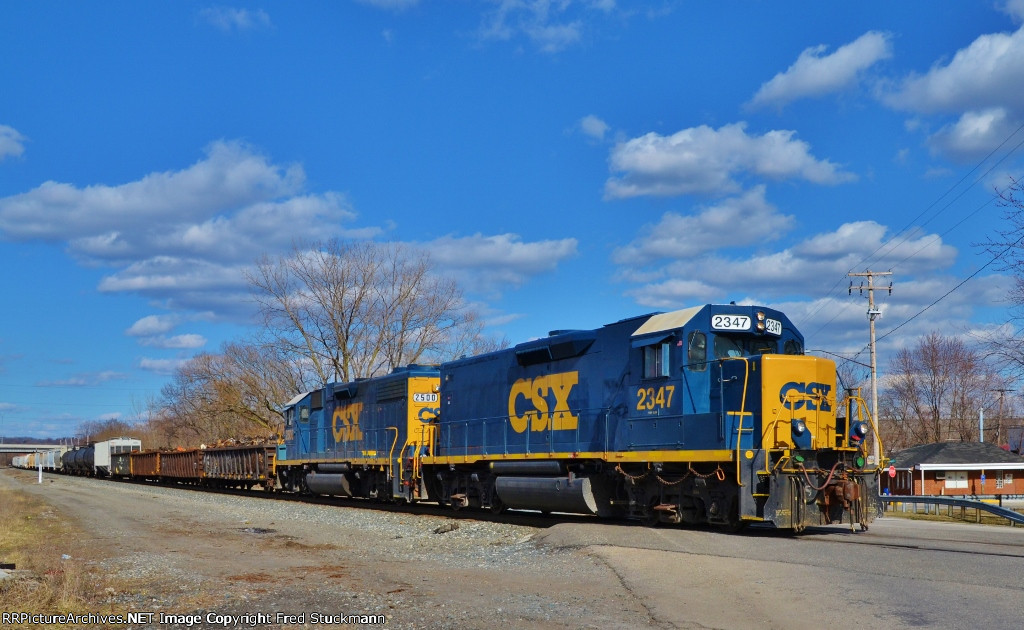 A couple of pretty ones.